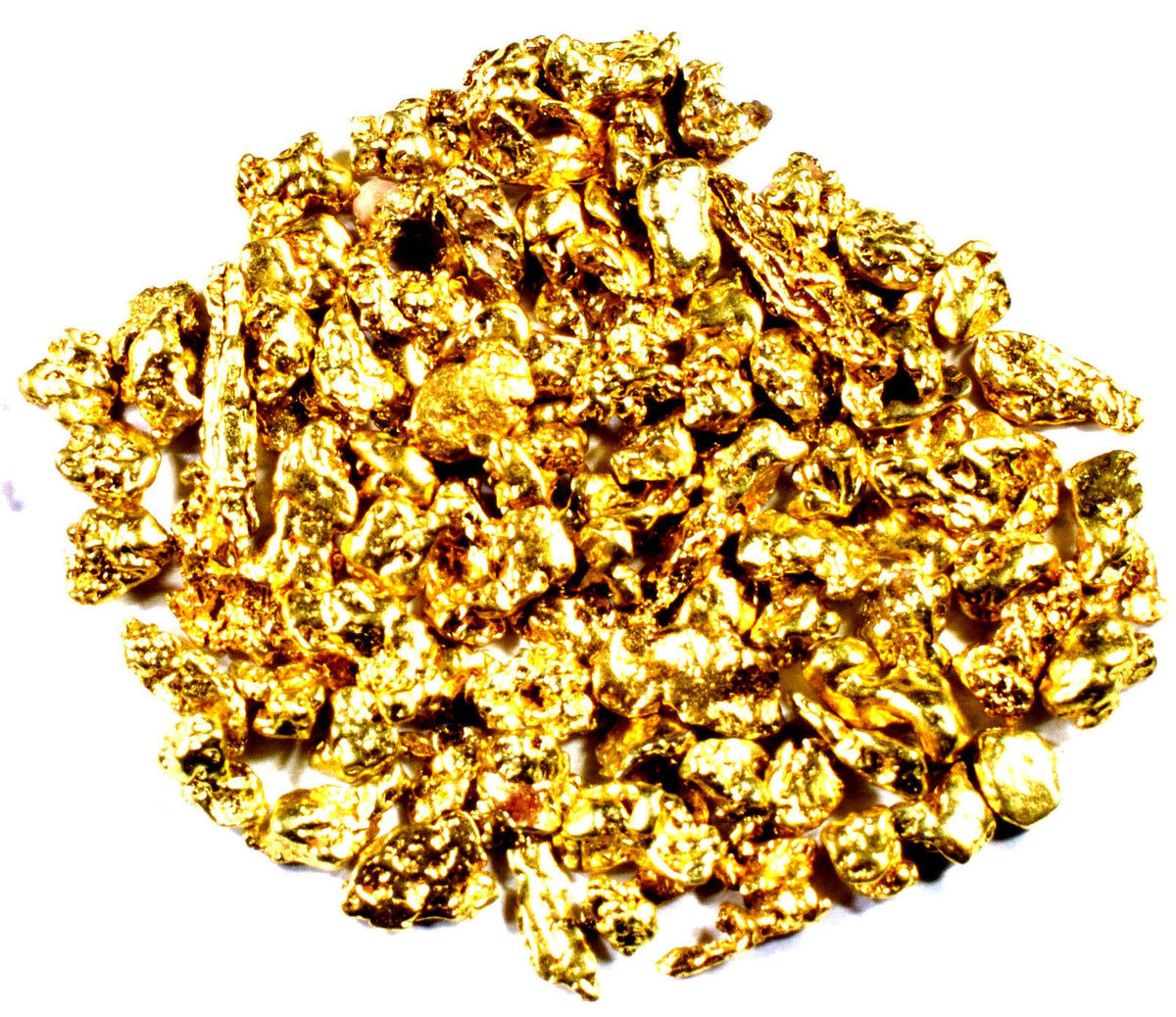 1.550 GRAMS ALASKAN YUKON BC NATURAL PURE GOLD NUGGETS #14 MESH ...