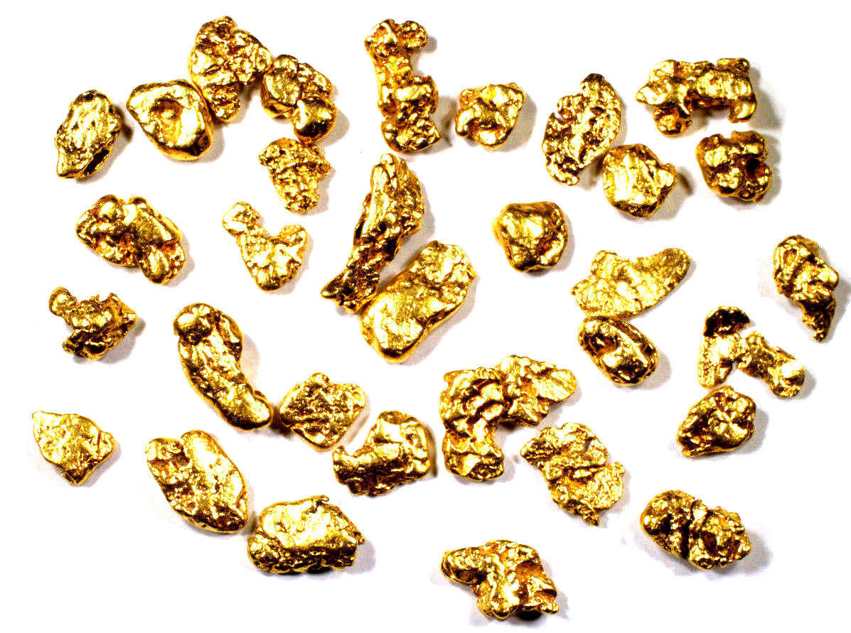 .300+ GRAMS ALASKAN YUKON BC NATURAL PURE GOLD NUGGET HAND PICKED ...